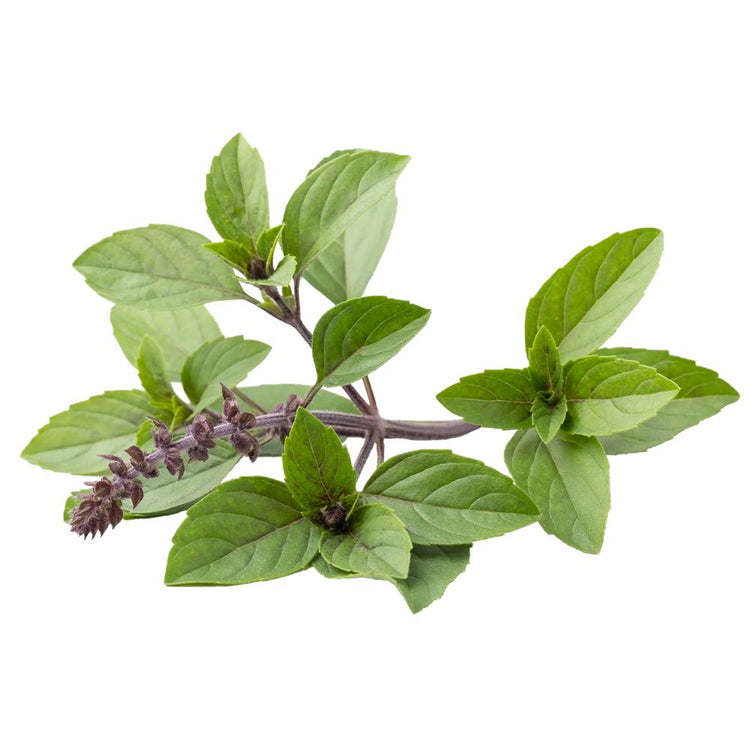 Productos – Me Sabe a Grou